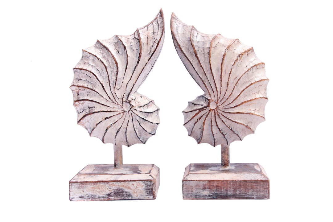 White Decorative Sea Shell Decor Handcrafted Wooden Showpiece Aesthetic ...