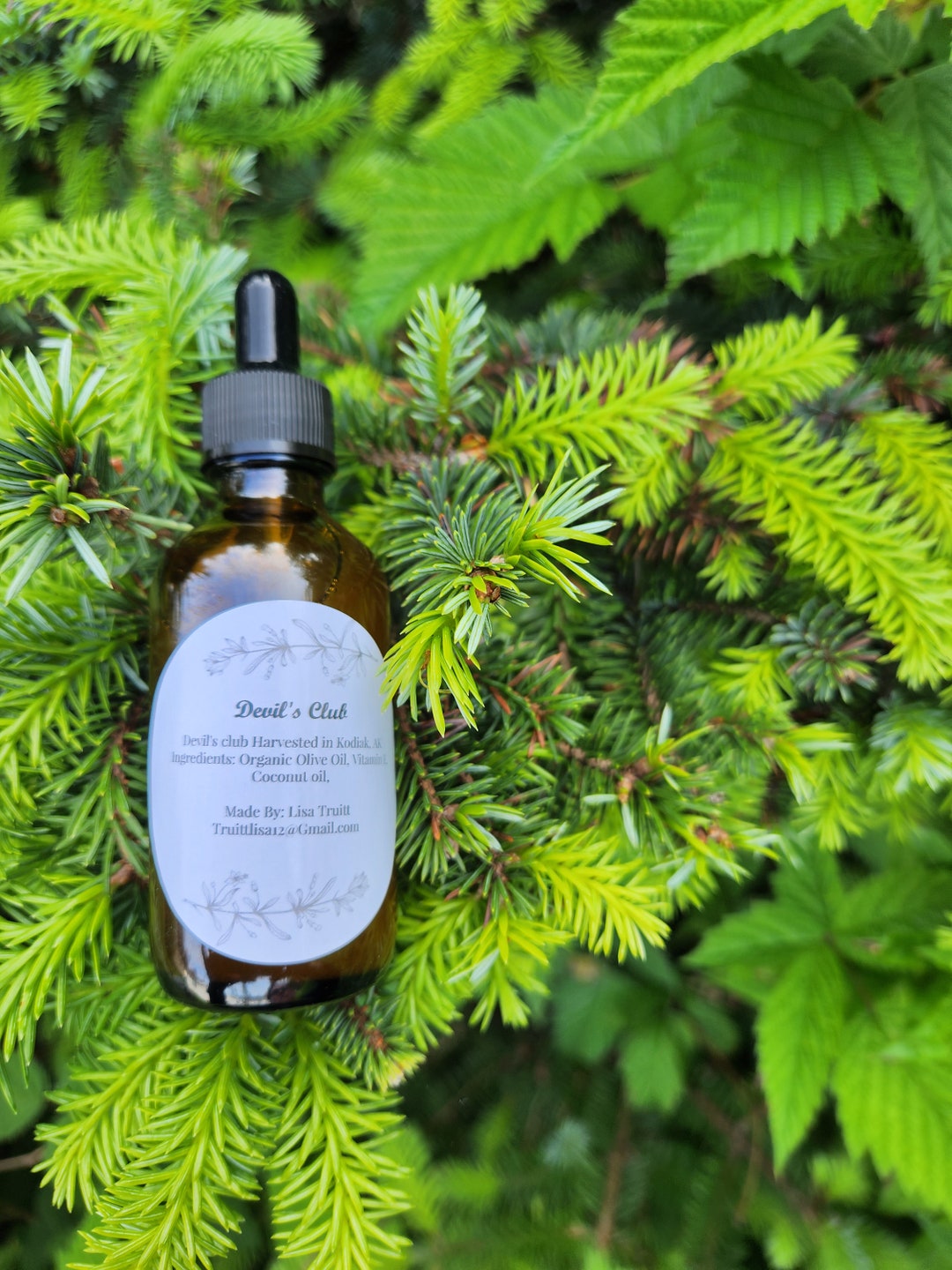 Devils Club Liquid 2 Oz - Etsy