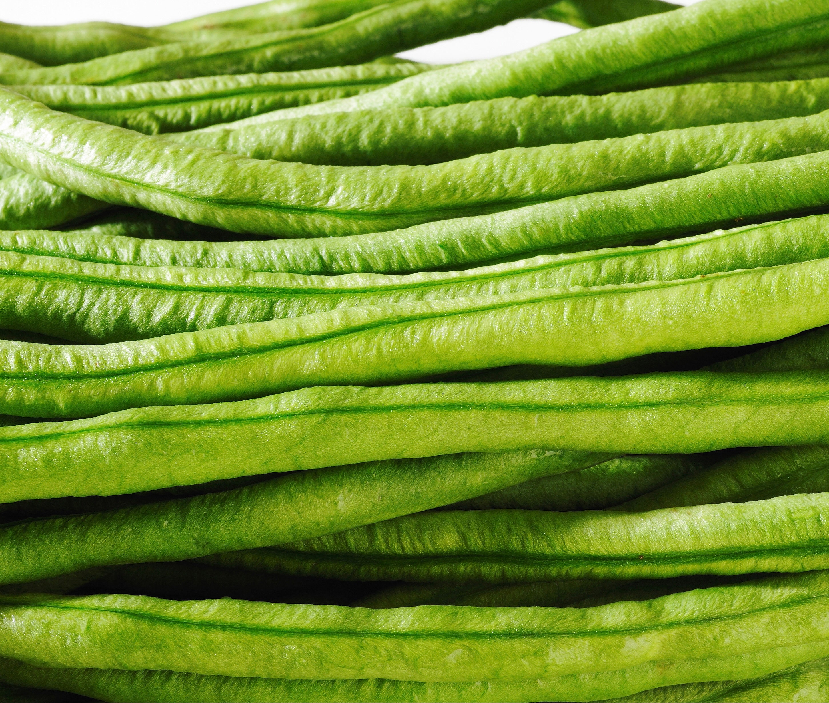 Yard Long Bean Seed