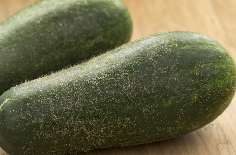 Fuzzy Gourd Hairy Gourd Jointed Gourd Fong Show Hybrid | Etsy