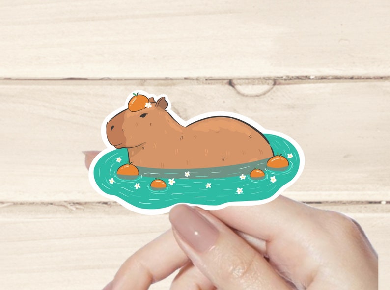 Capybara Sticker Vinyl Sticker Funny Sticker Cute Sticker - Etsy