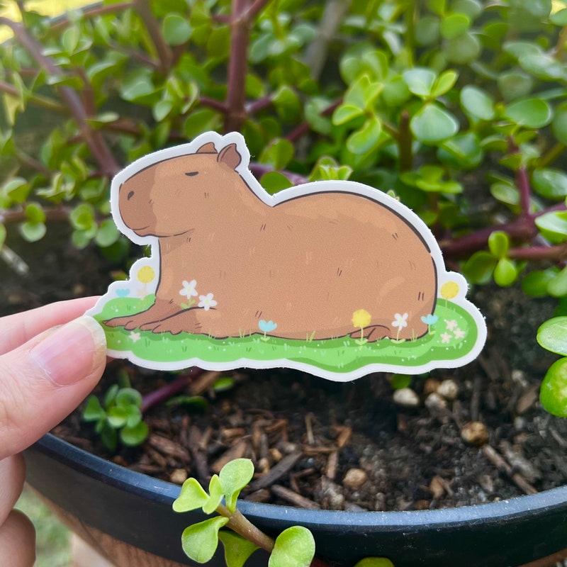 Capybara Vinyl Stickers - Etsy