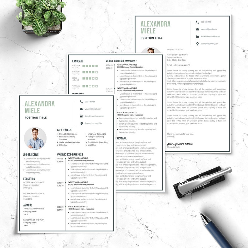 3-page Resume + Bonus: 145 Icons & Font Set | Instant Download - Etsy