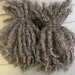 True Texture -naturally Coily Locs Xsmall Size - Etsy
