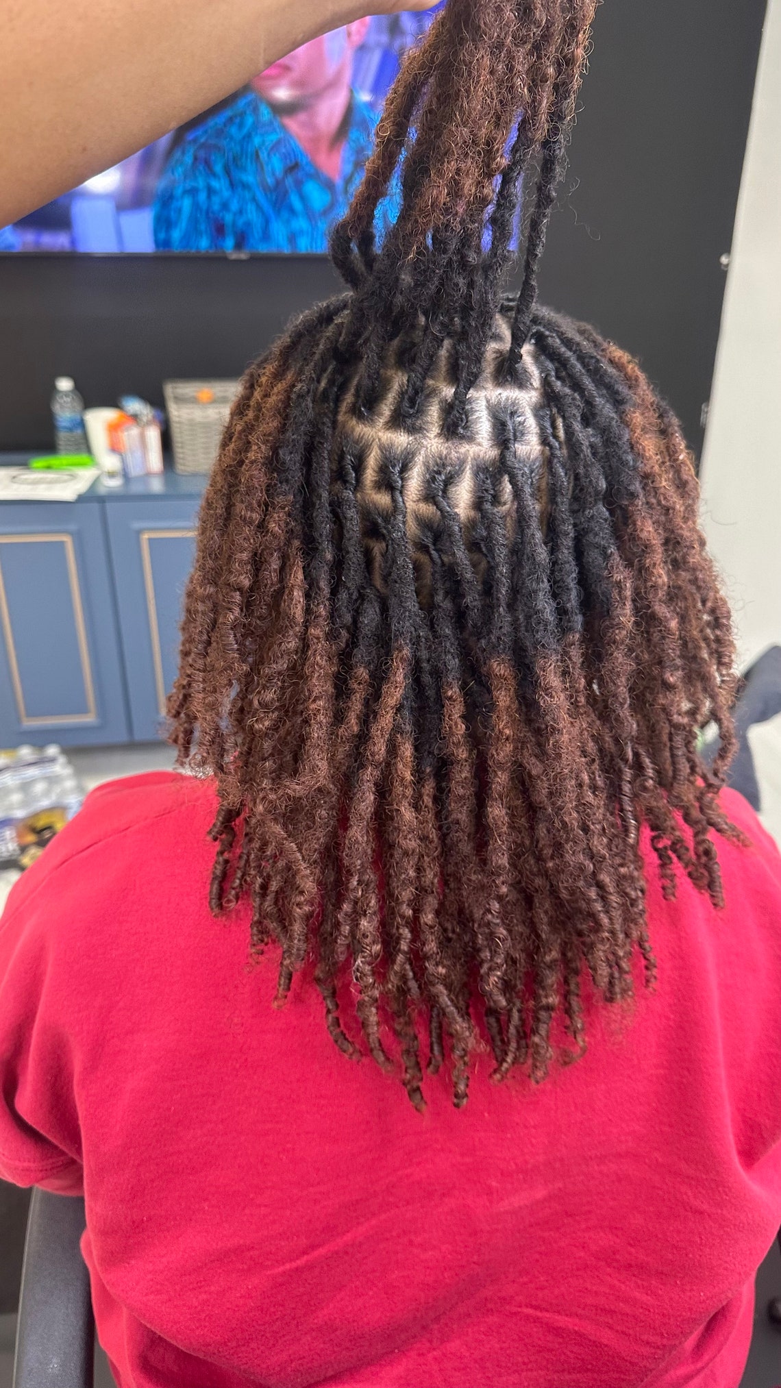 True Texture -naturally Coily Locs Xsmall Size - Etsy