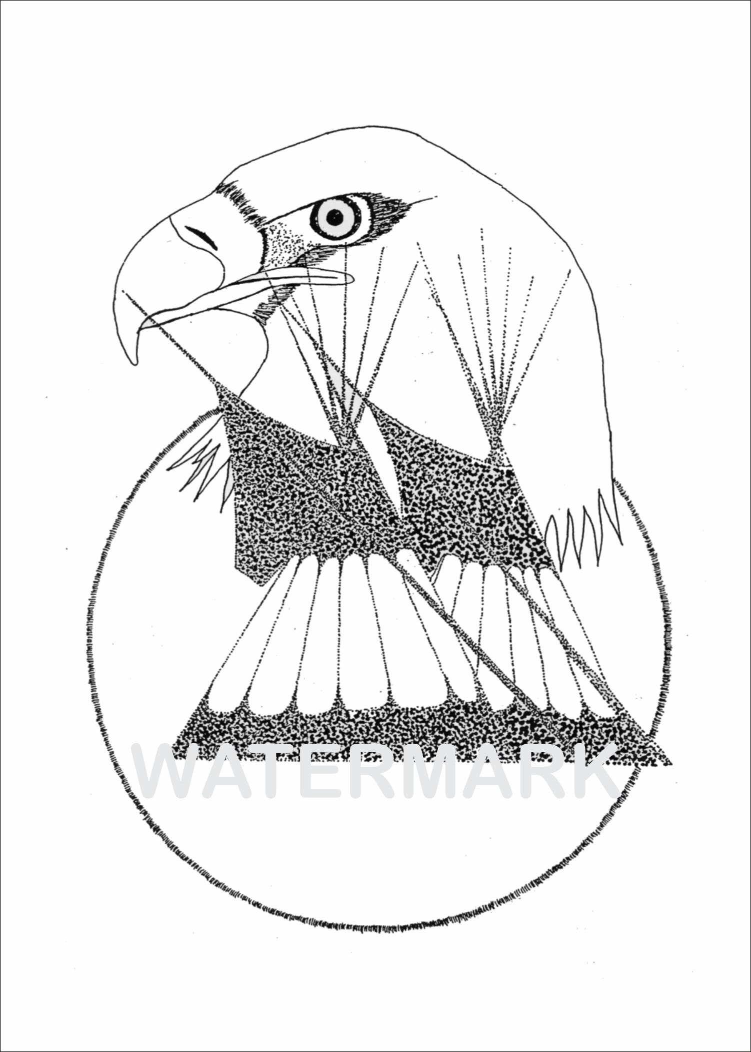 Native American Indian Theme Boxed Set of 10 Assorted A7 5x7 W ...