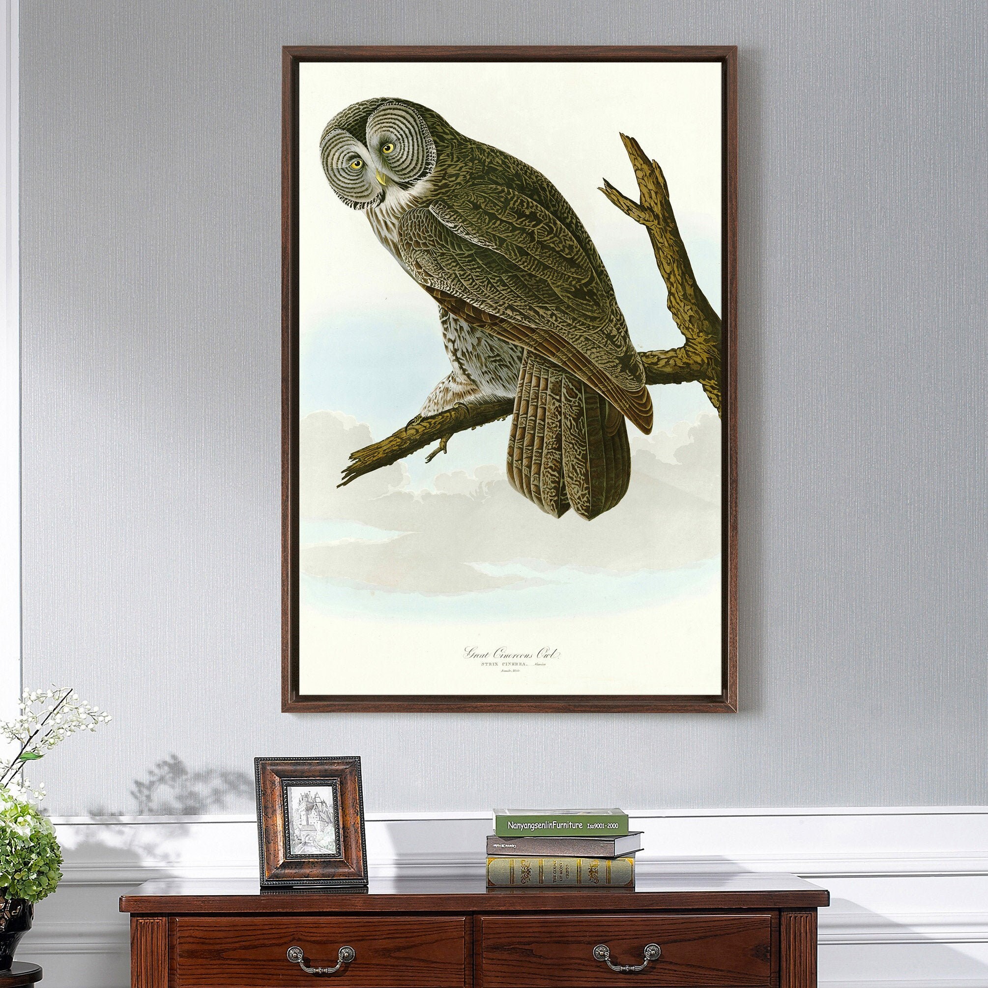 John James Audubon Owls