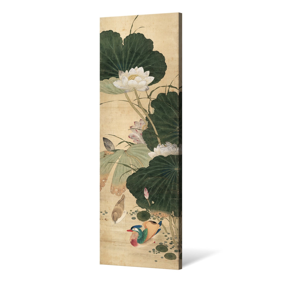 Chen Mei,lotus and Mandarin Duck,chinese Birds and Flowers Paintings ...
