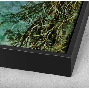Beech Forest,forest Landscape, Forest Print,canvas Print,canvas Art ...