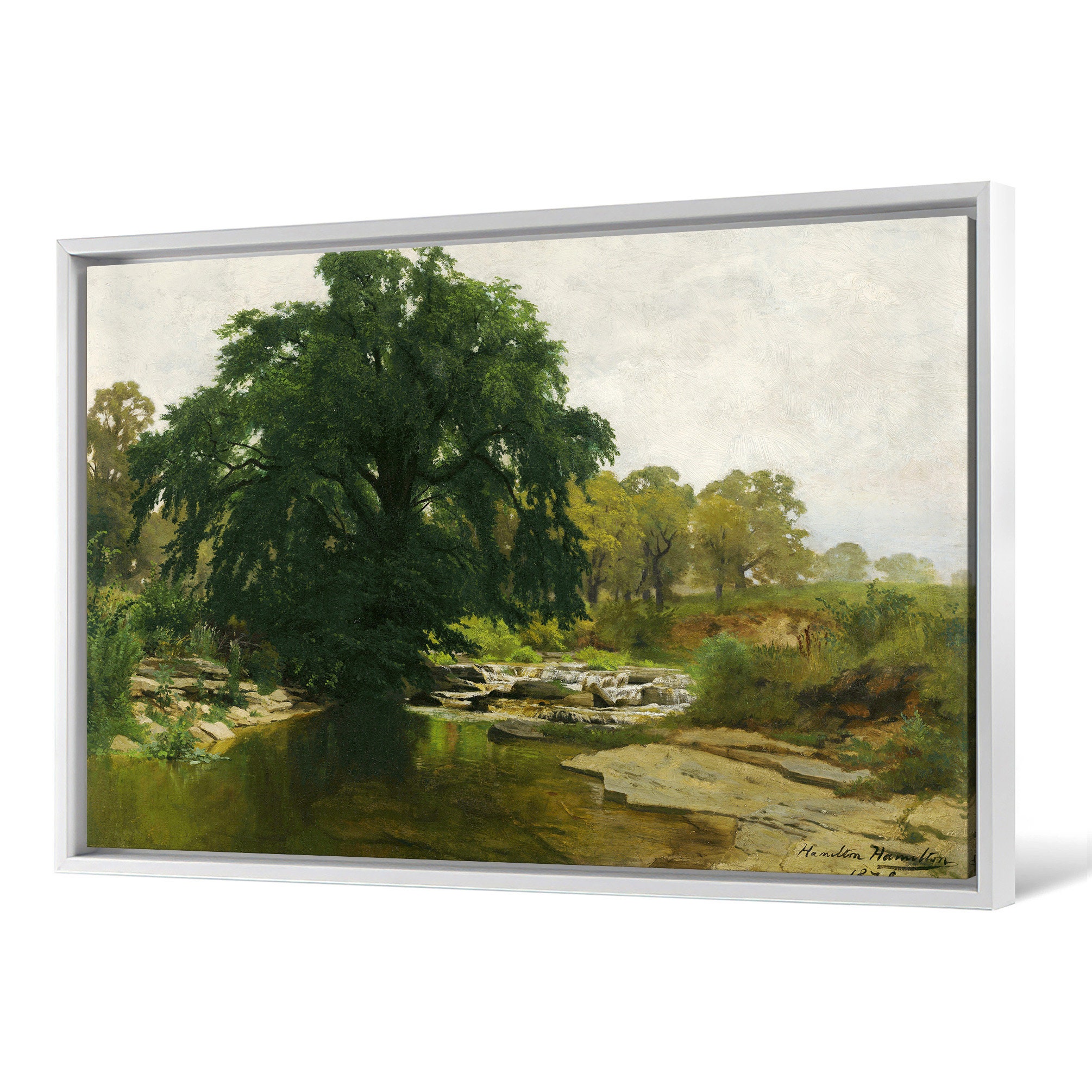 Hamilton Hamilton,riverside Tree Scenery, River Scenery,canvas Print ...