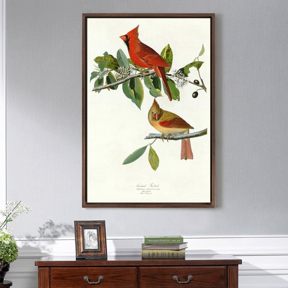 John James Audubon Cardinal Grosbeakthe Birds of | Etsy