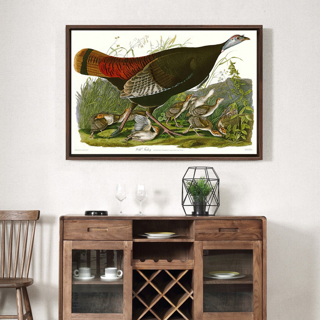 John James Audubon, Wild Turkey,the Birds of America,canvas Print ...