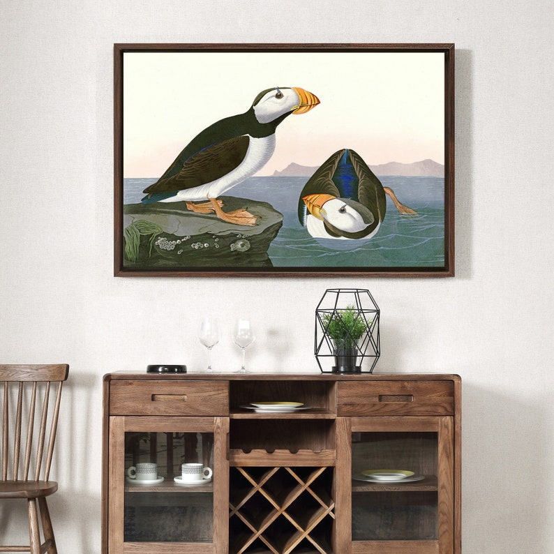 John James Audubon, Large Billed Puffin,the Birds of America,canvas ...