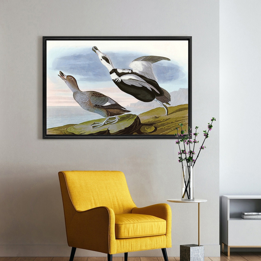 John James Audubon, Pied Duck,the Birds of America,canvas Print,canvas ...