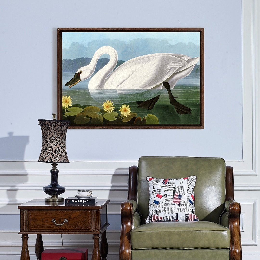 John James Audubon, Common American Swan,the Birds of America,canvas ...