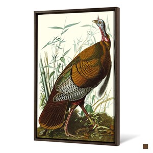John James Audubon,1 Wild Turkey,the Birds of America,canvas Print ...