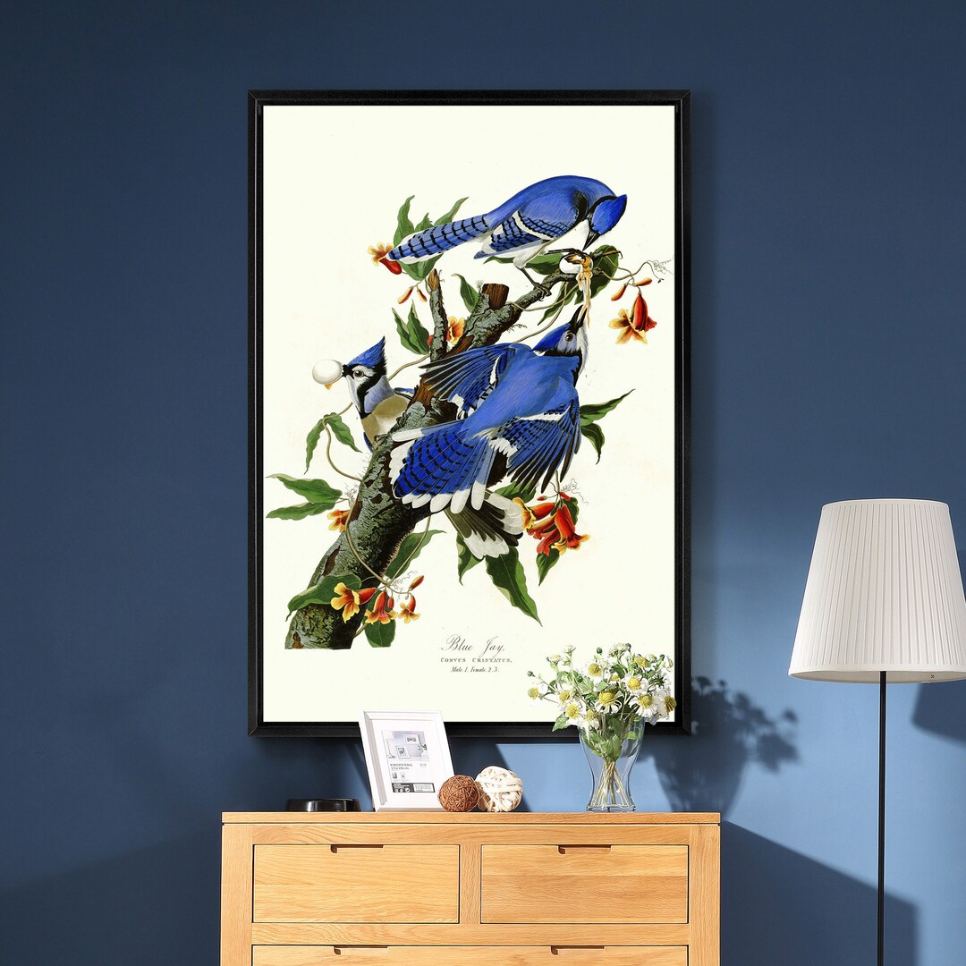 John James Audubon, Blue Jay,the Birds of America,canvas Print,canvas ...