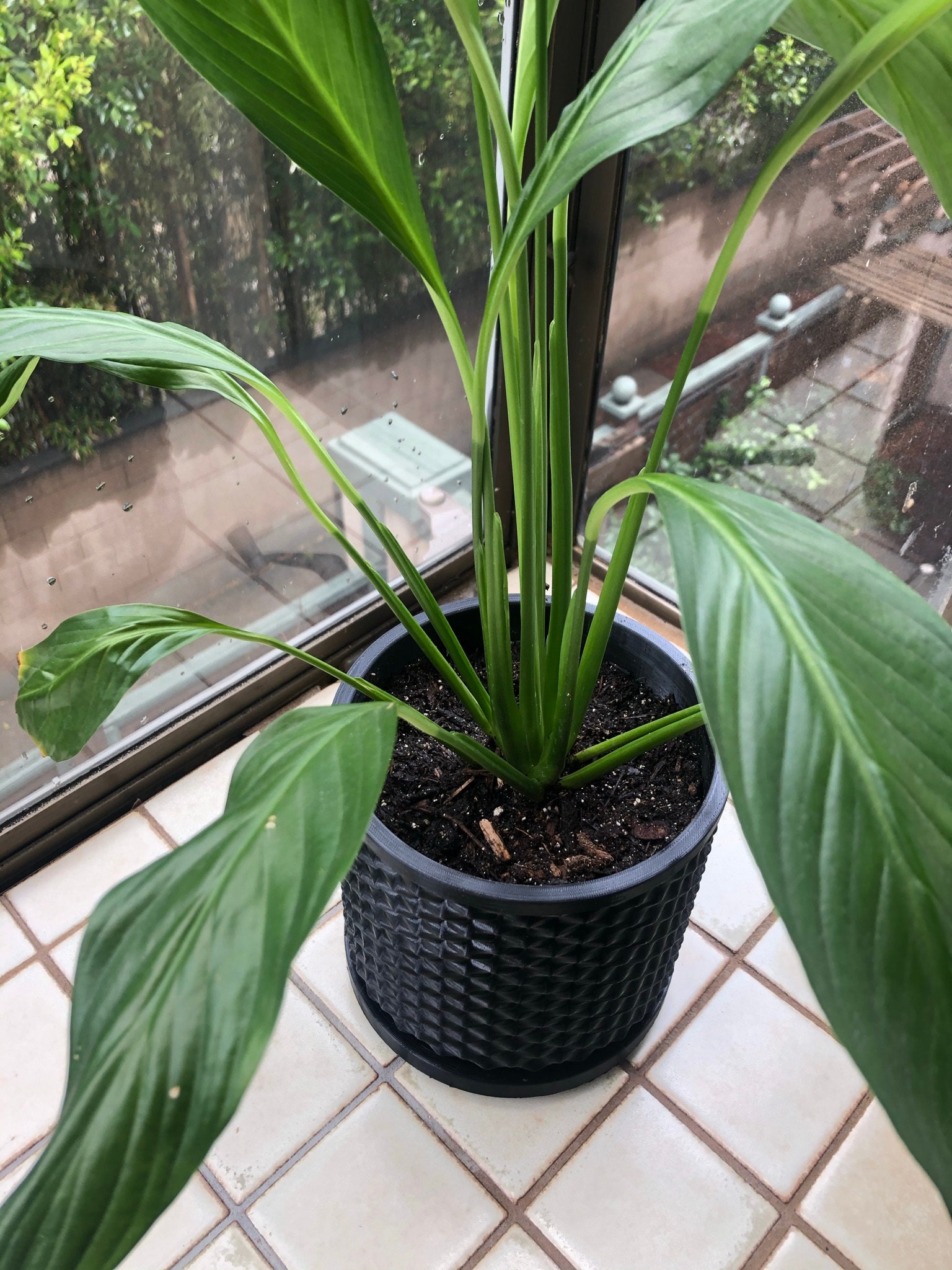 The CHEQUER 6 Medium Textured 3D Printed Planter - Etsy