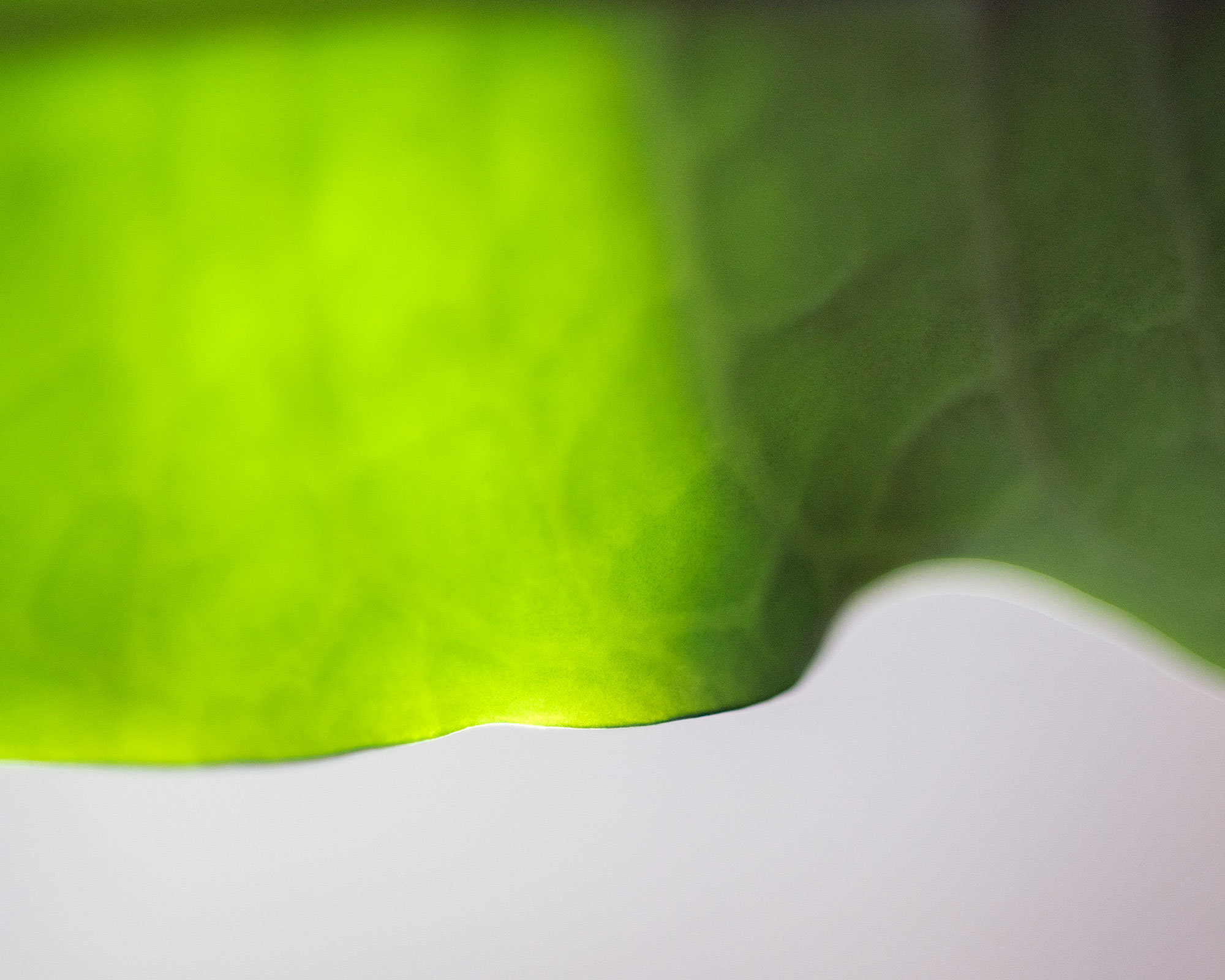 Natural Perfume Oil Summer Scent Spring Scent Botanical Perfume ...