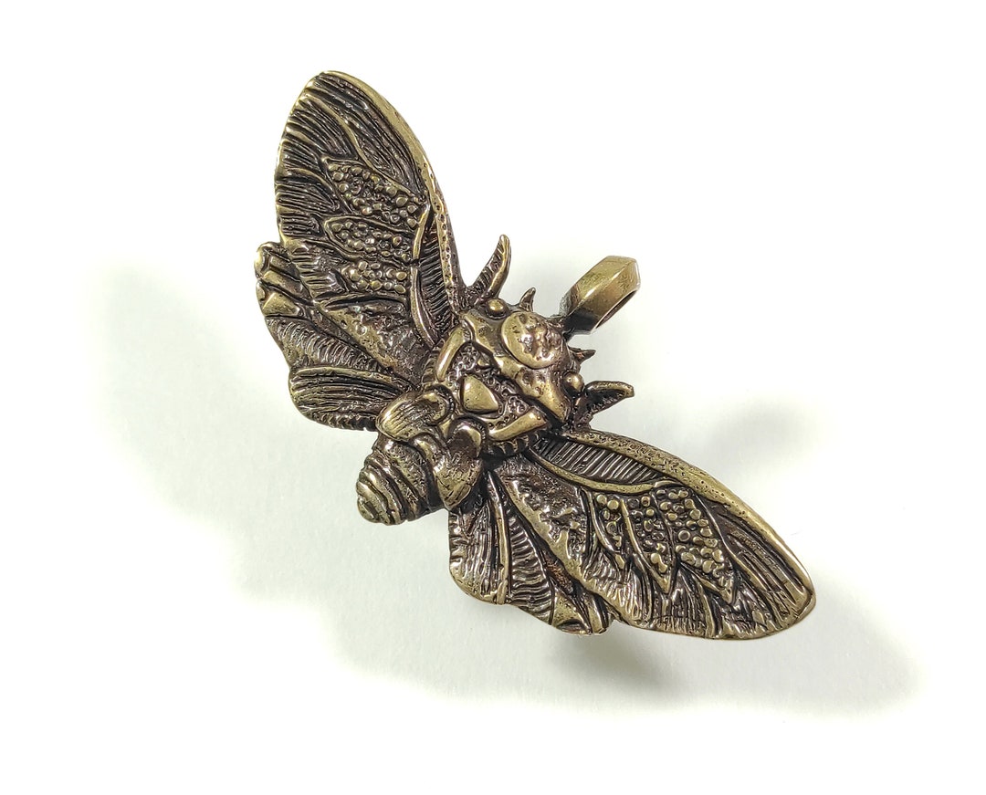 Dead Head Butterfly Necklace, Hawk Moth Jewelry, Night Moth Locket, Deadhead Insect Charm ...