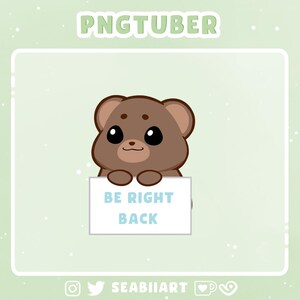 Bear | Pngtuber With 4 Toggles for Twitch & Youtube Streaming ...