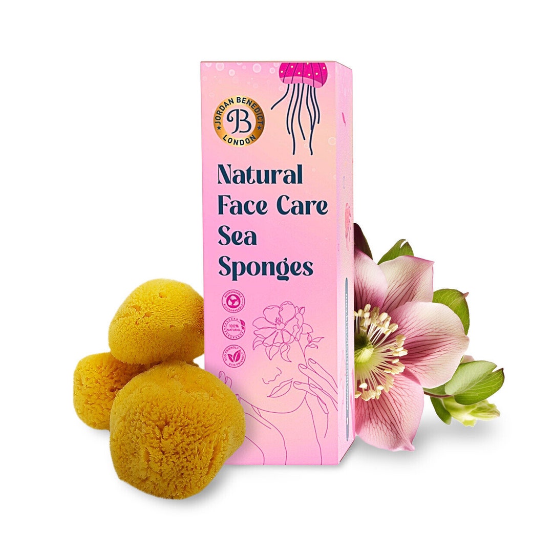 Jordan Benedict Face Care Sponges Natural Reusable Sea Sponge Cleansing ...