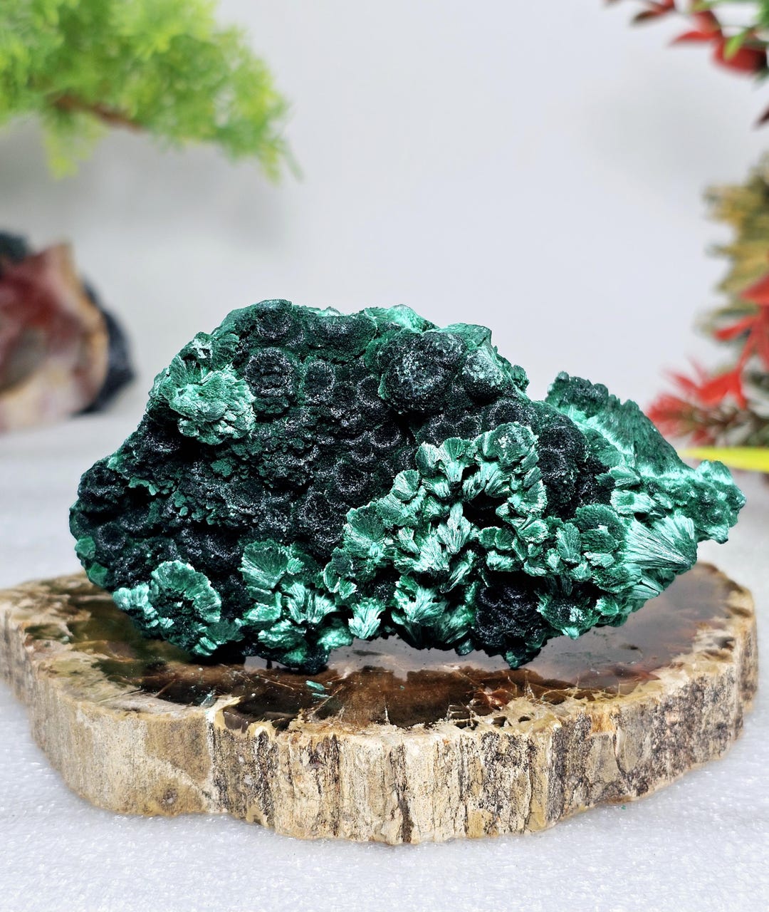 Raw Malachite Specimen / Malachite / Chakra / Rocks and Minerals / St56 ...