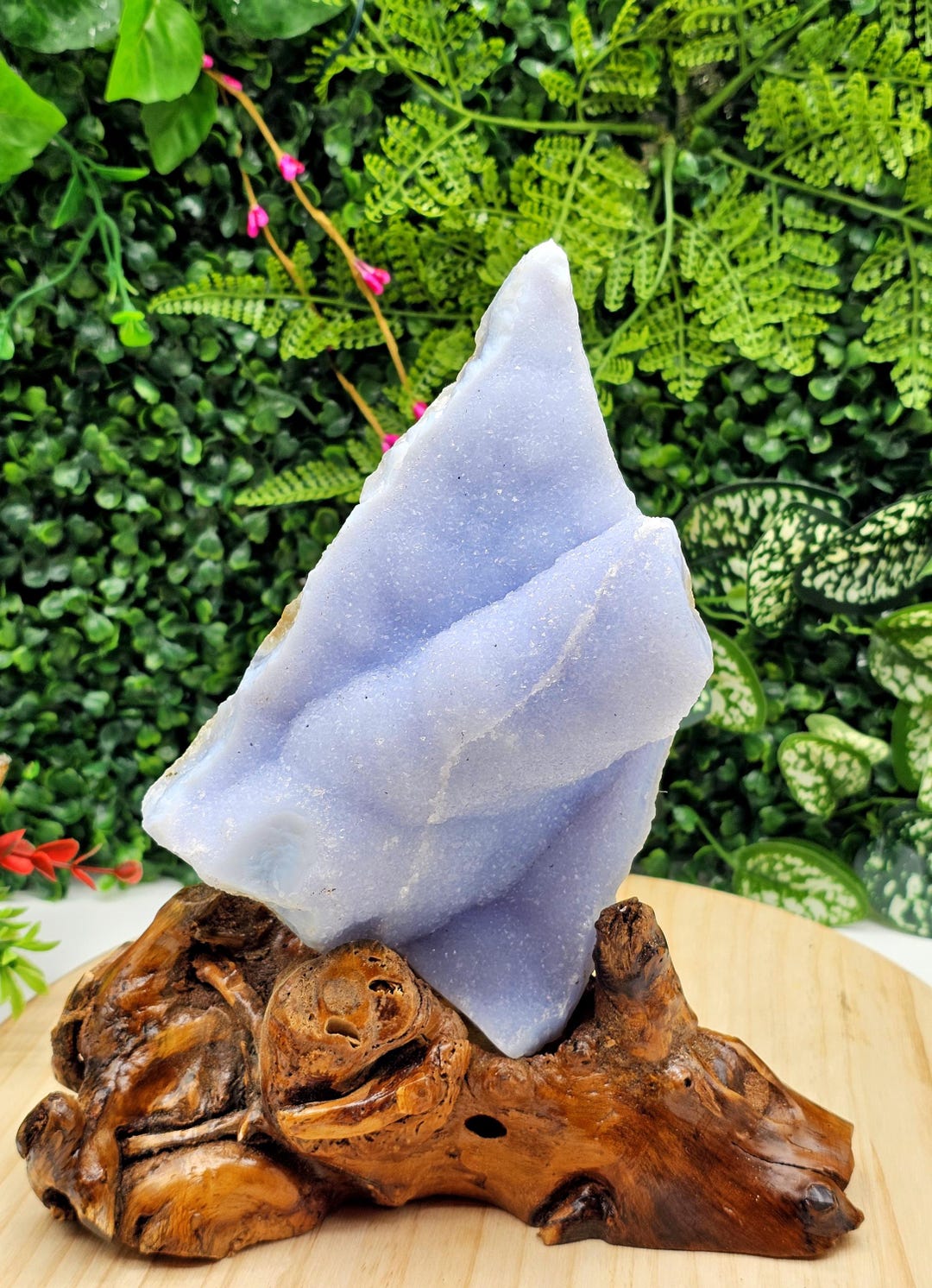 Raw Blue Lace Agate in Display Stand / Druzy Blue Lace Agate / Chakra ...