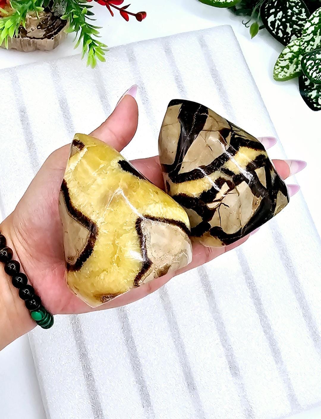 Septarian Freeform / Chakra / Rocks and Minerals - Etsy
