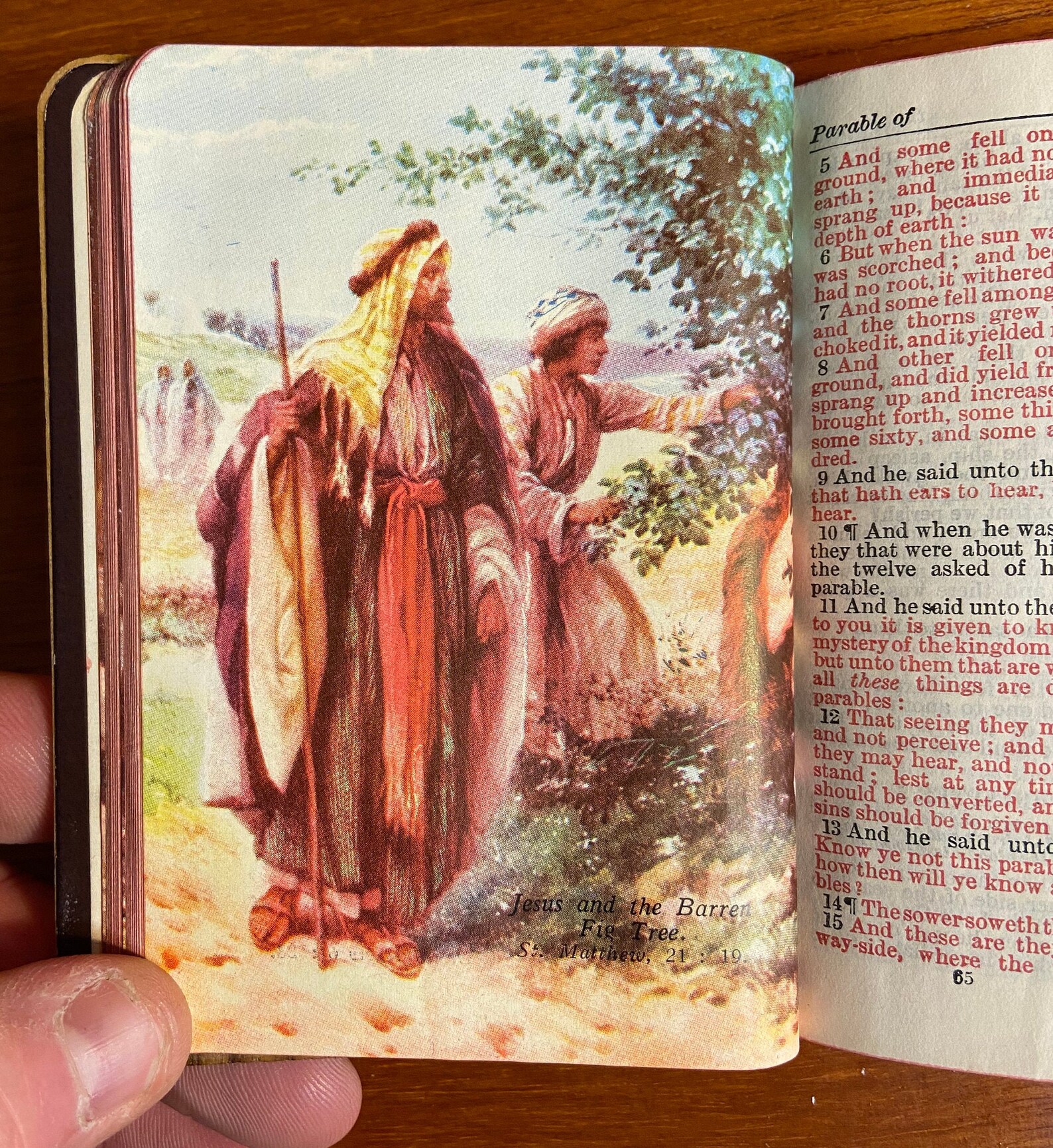 Red Letter Testament Bible in Olive Wood From the Holy Land - Etsy