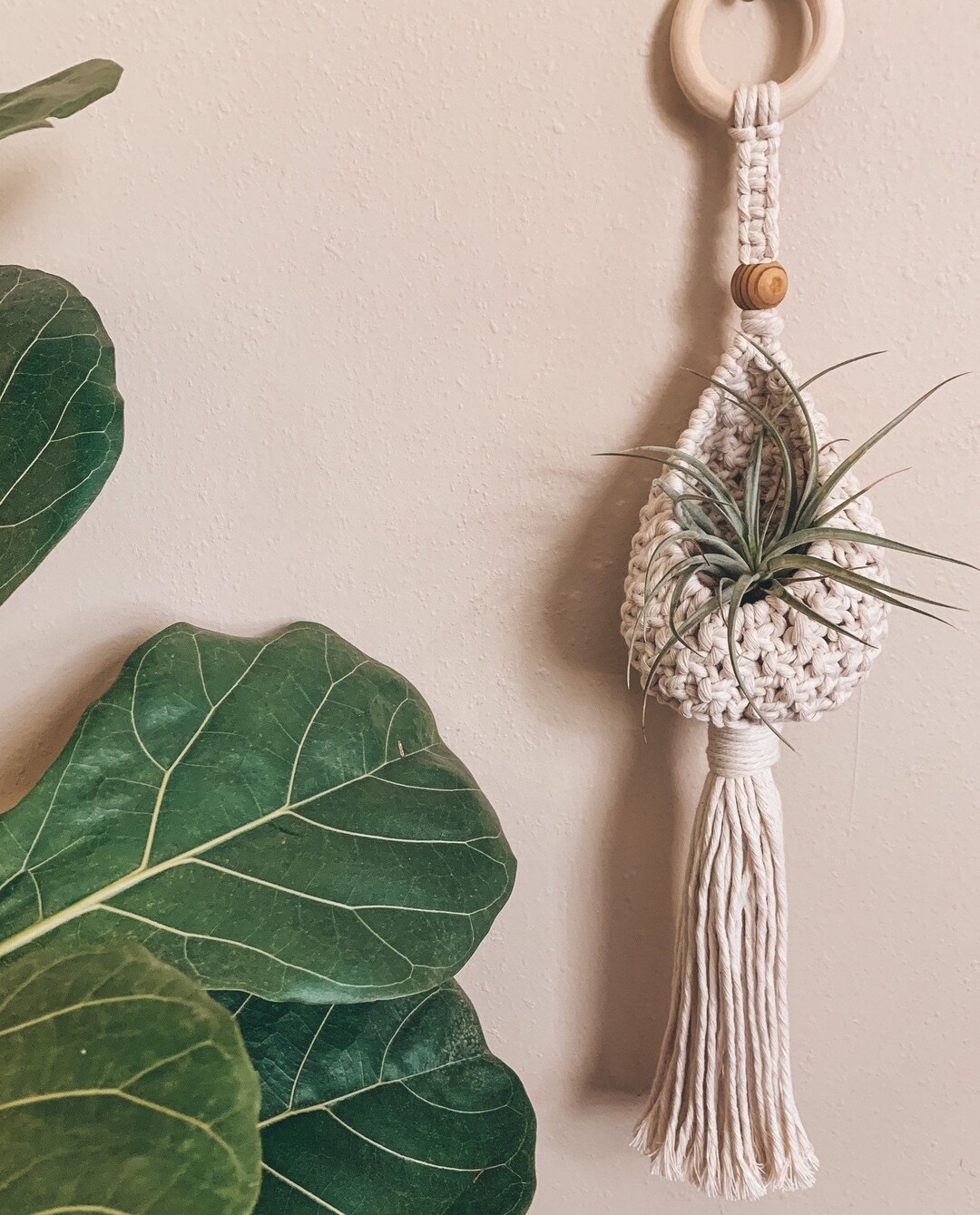 Macrame Pods | Airplant Hanger | Boho Plant Hanger - Etsy