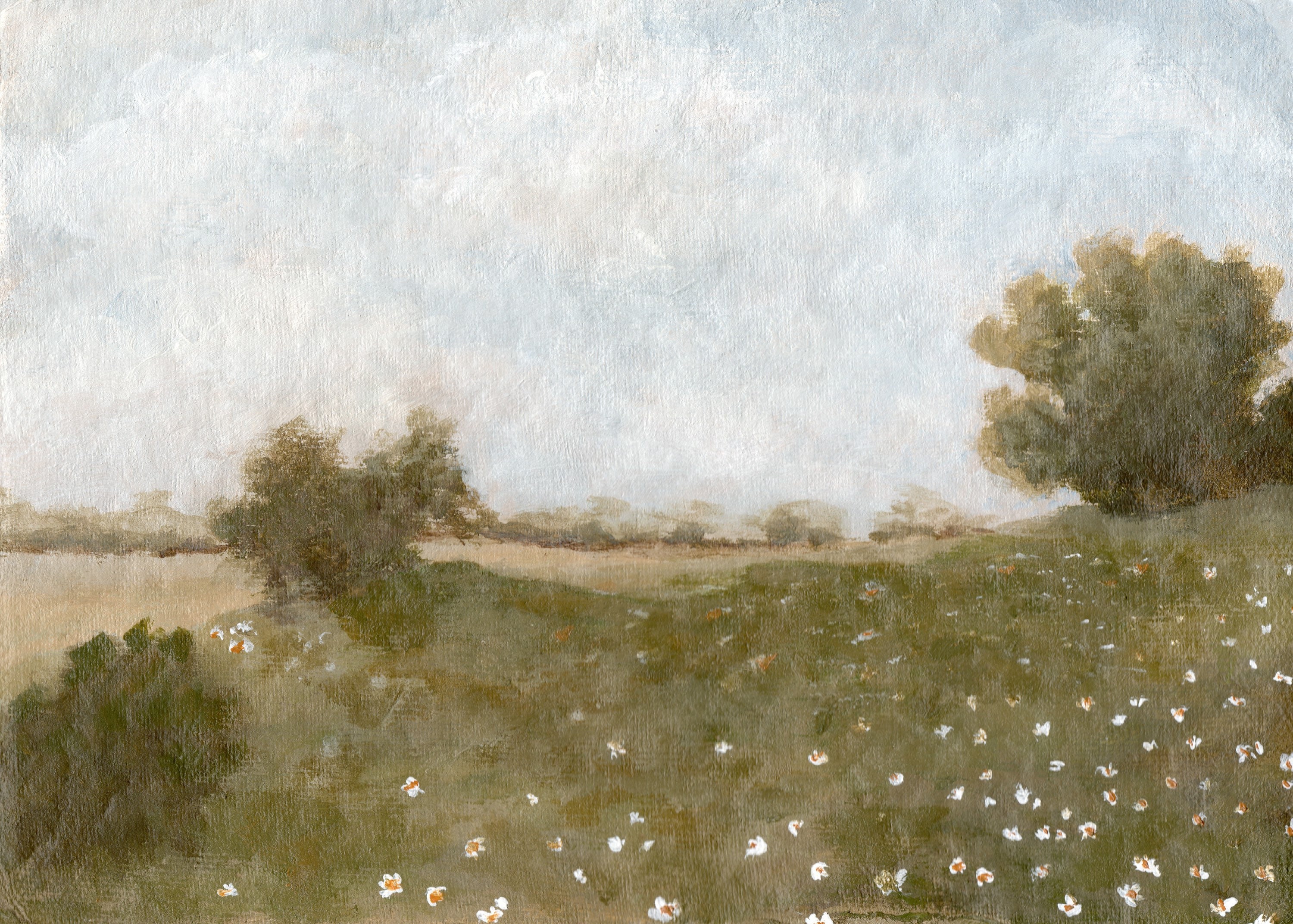 Daisy Fields, Landscape Print, Texas Hill Country Art Print, Landscape ...