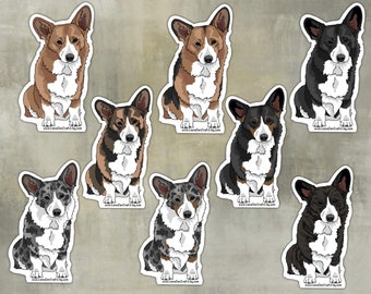 Cardigan Corgi Stickers - Etsy