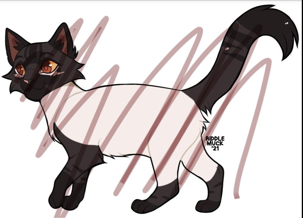 Crowcall Warrior Cats Original Furry Character - Etsy