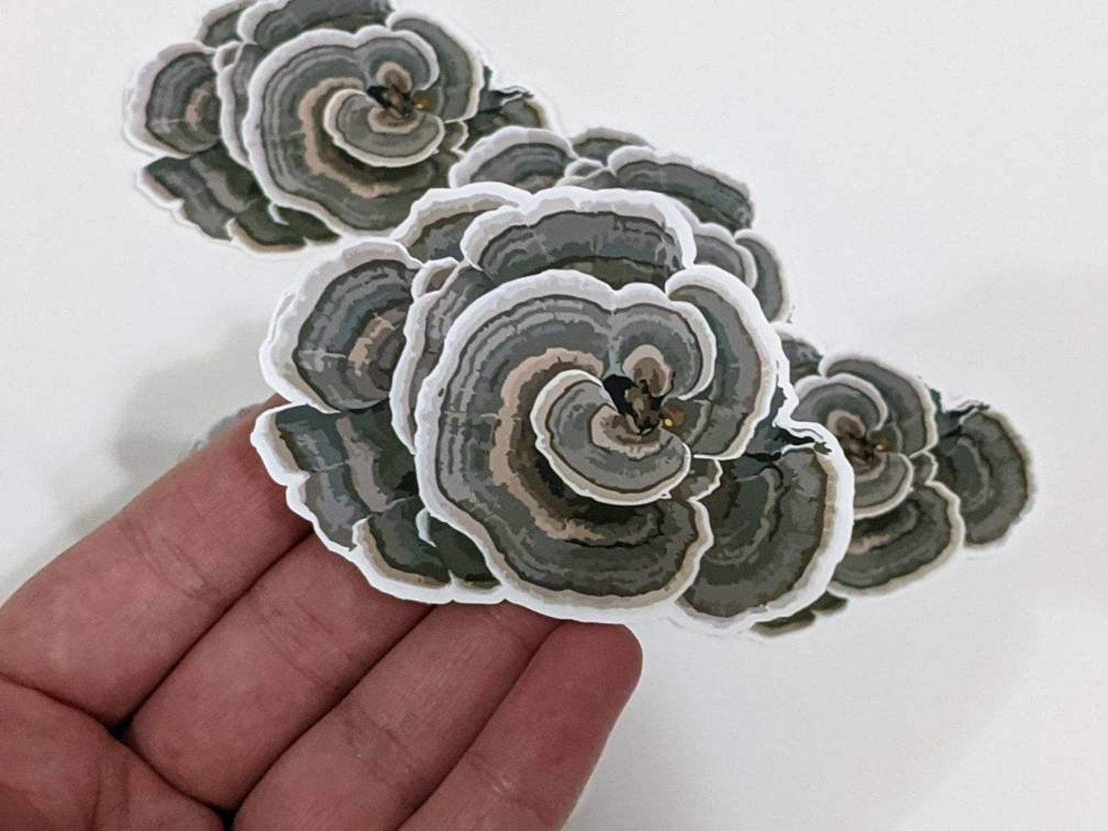 Vinyl Waterproof Mushroom Sticker Mushroom Sticker Fungi - Etsy