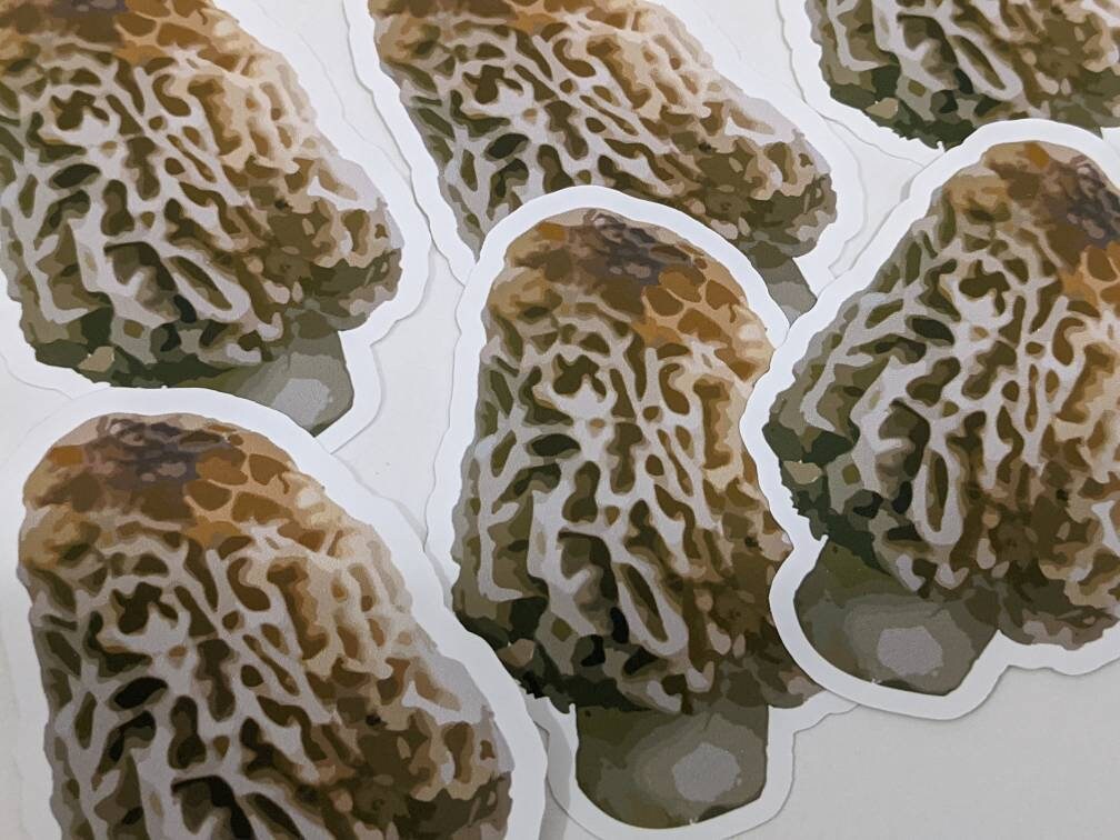 Waterproof Mushroom Sticker | Vinyl Mushroom Sticker | Fungi ...