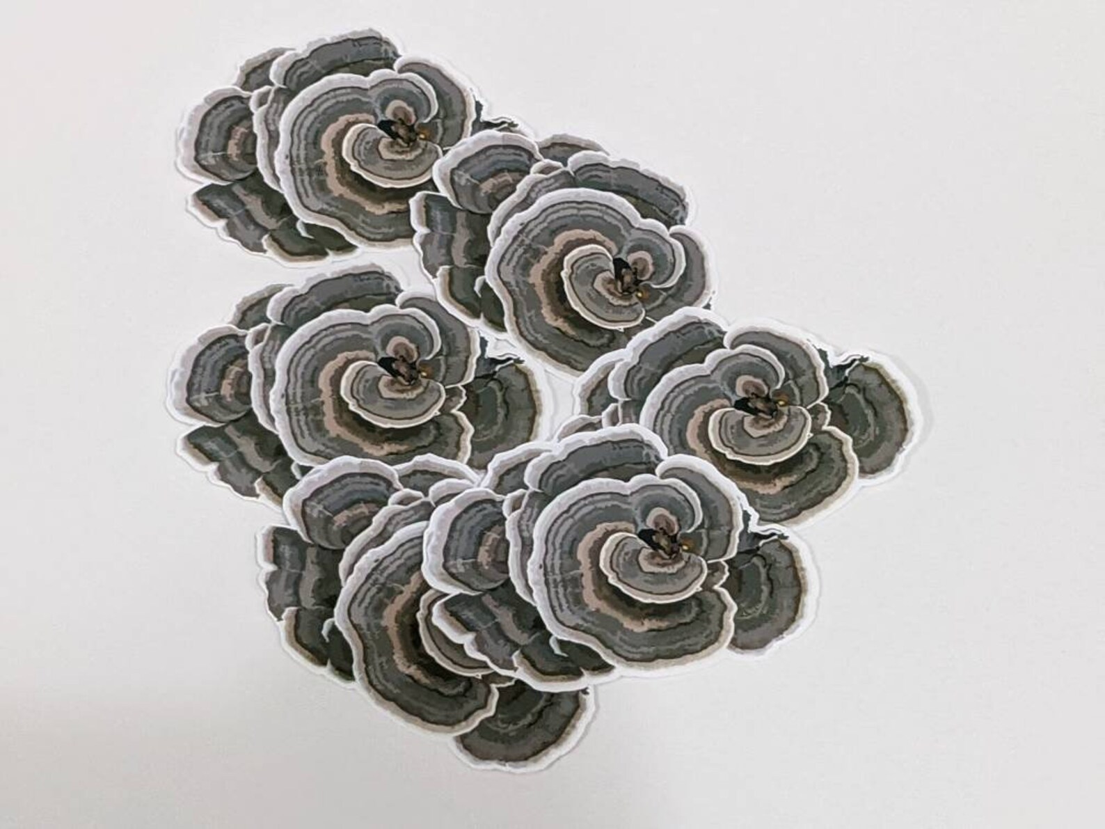 Vinyl Waterproof Mushroom Sticker Mushroom Sticker Fungi - Etsy