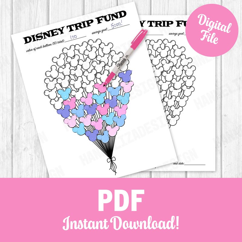 Disneyland Savings Fund - Etsy