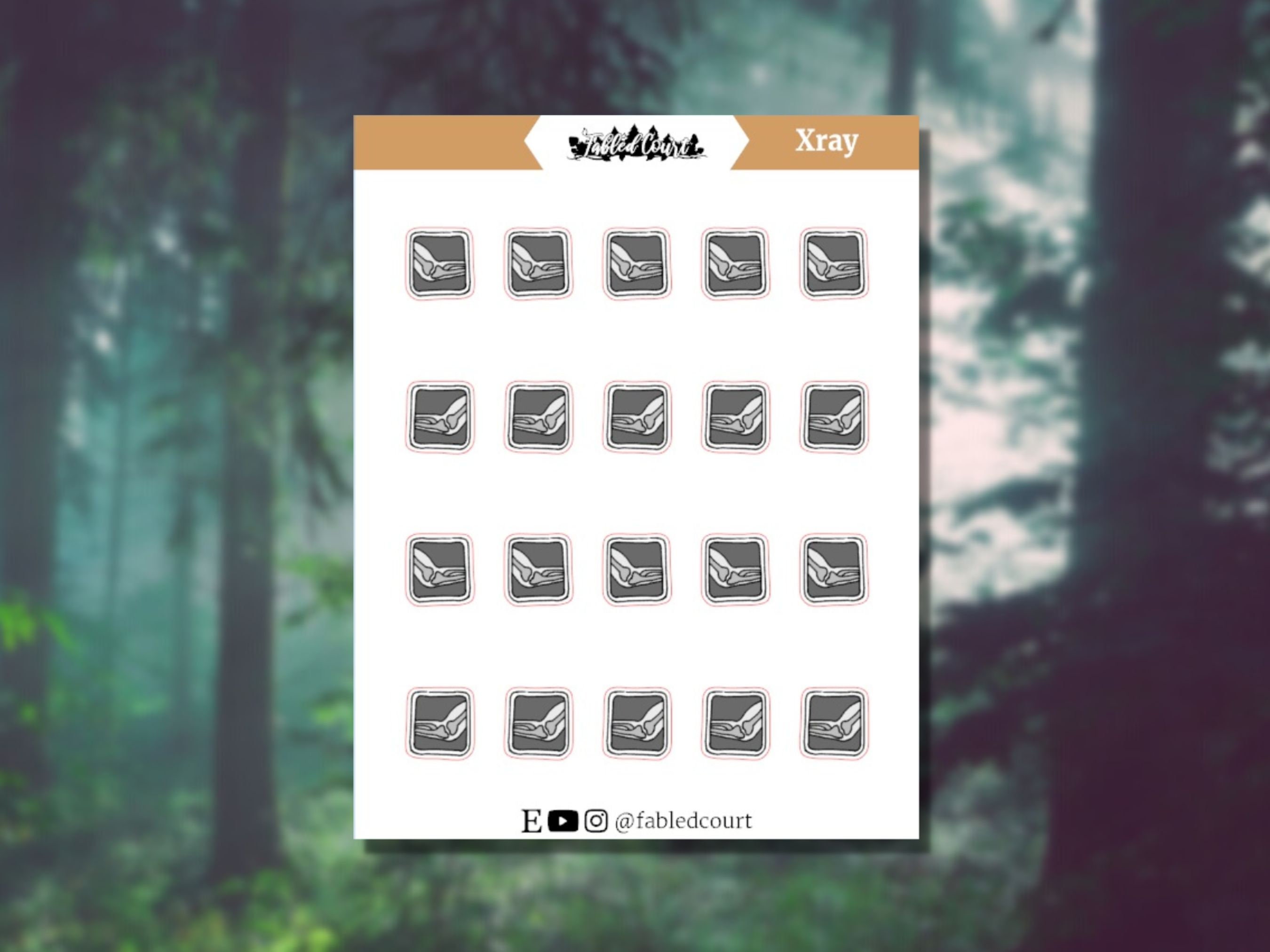 Xray Hand Drawn Planner Doodle Stickers - Etsy