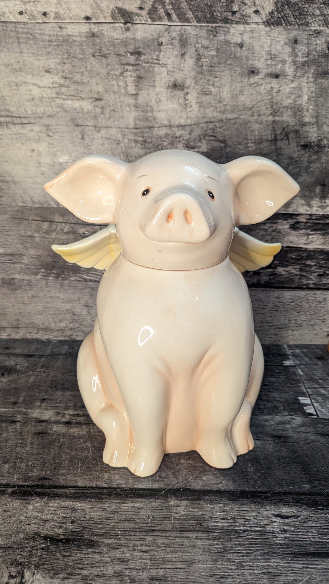 Gorgeous Flying Pig Cookie Jar - Etsy