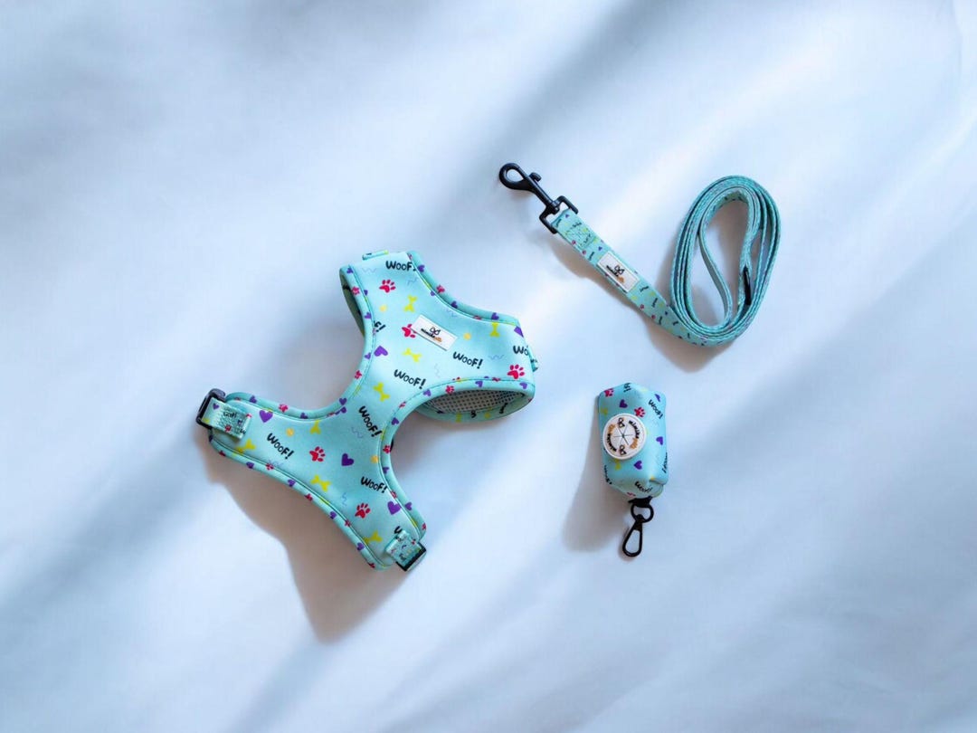 Woof Set, Dog Harness, Dog Leash, Dog Poop Bag Holder, Dog Walking, Set ...