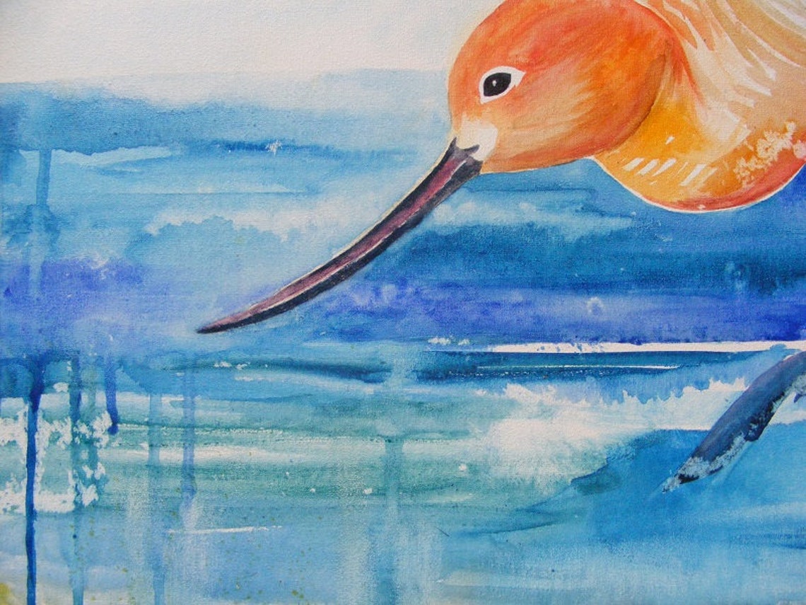 Watercolor Original shore Bird by Laura Frye - Etsy