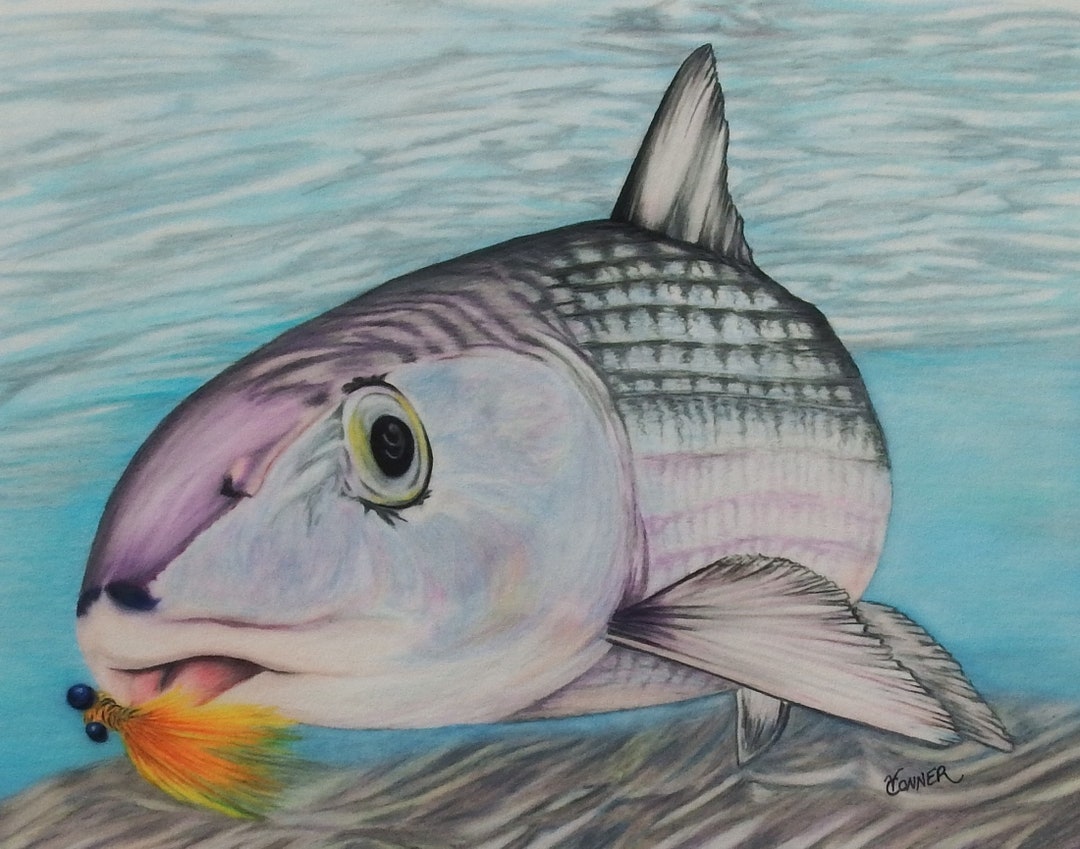Colored Pencil Bonefish Print, Ocean Lover Art, Nature Home Decor ...