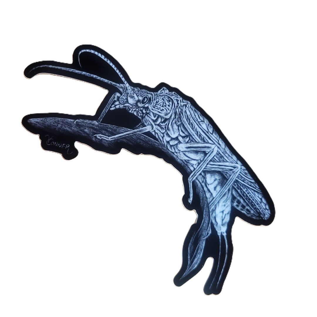 Black & White Stonefly Die-cut Sticker, Waterbottle Sticker, Cooler ...