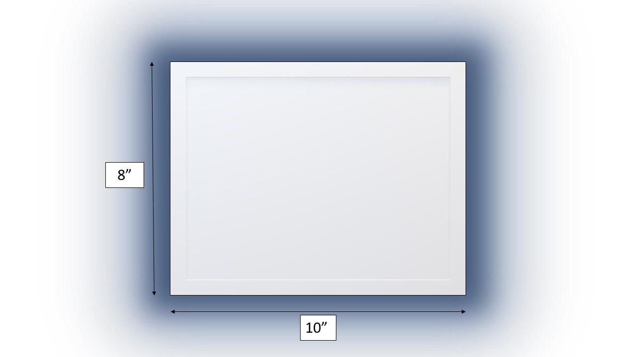 Acrylic Ocean Permit Fish Print, Ocean Lover Gift, Birthday Gift, Fly ...