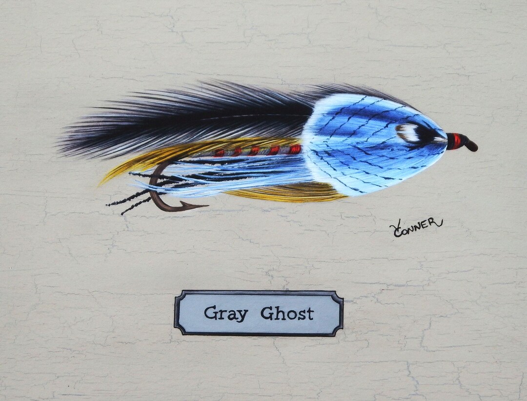 Classic Gray Ghost Streamer Fly Blank Greeting Card, Fly Tying Art, Fly ...