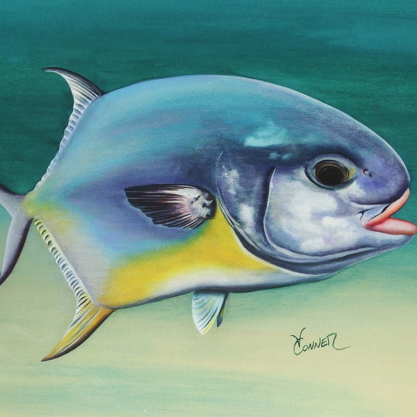 Saltwater Fish Art - Etsy