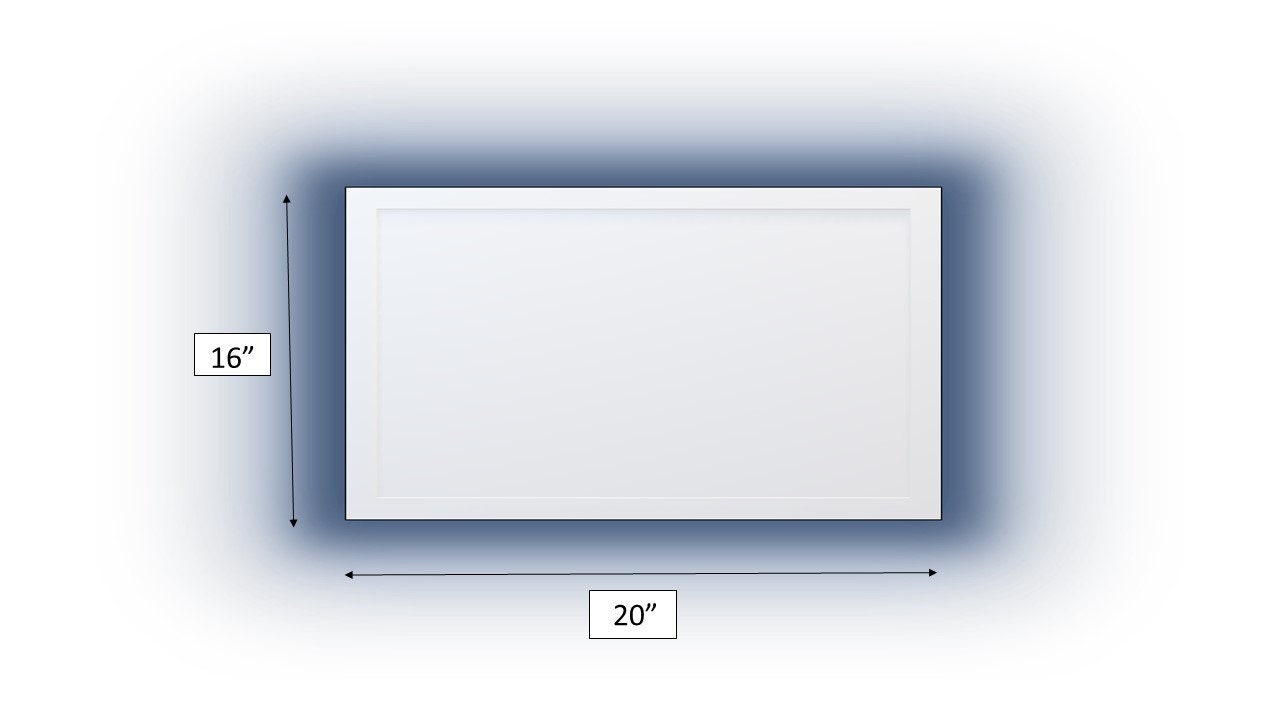 Acrylic Ocean Permit Fish Print, Ocean Lover Gift, Birthday Gift, Fly ...