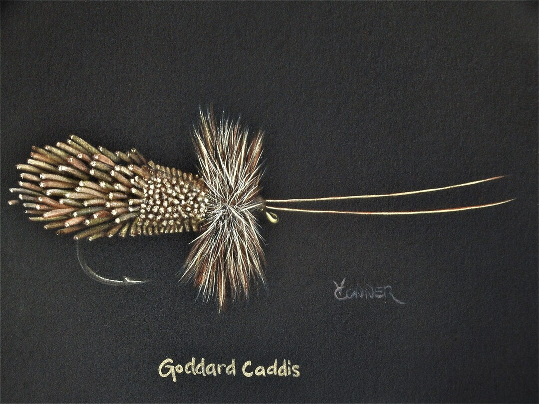 Acrylic Goddard Caddis Fly Print, Fly Fishing Gift, Cabin Decor, Father ...