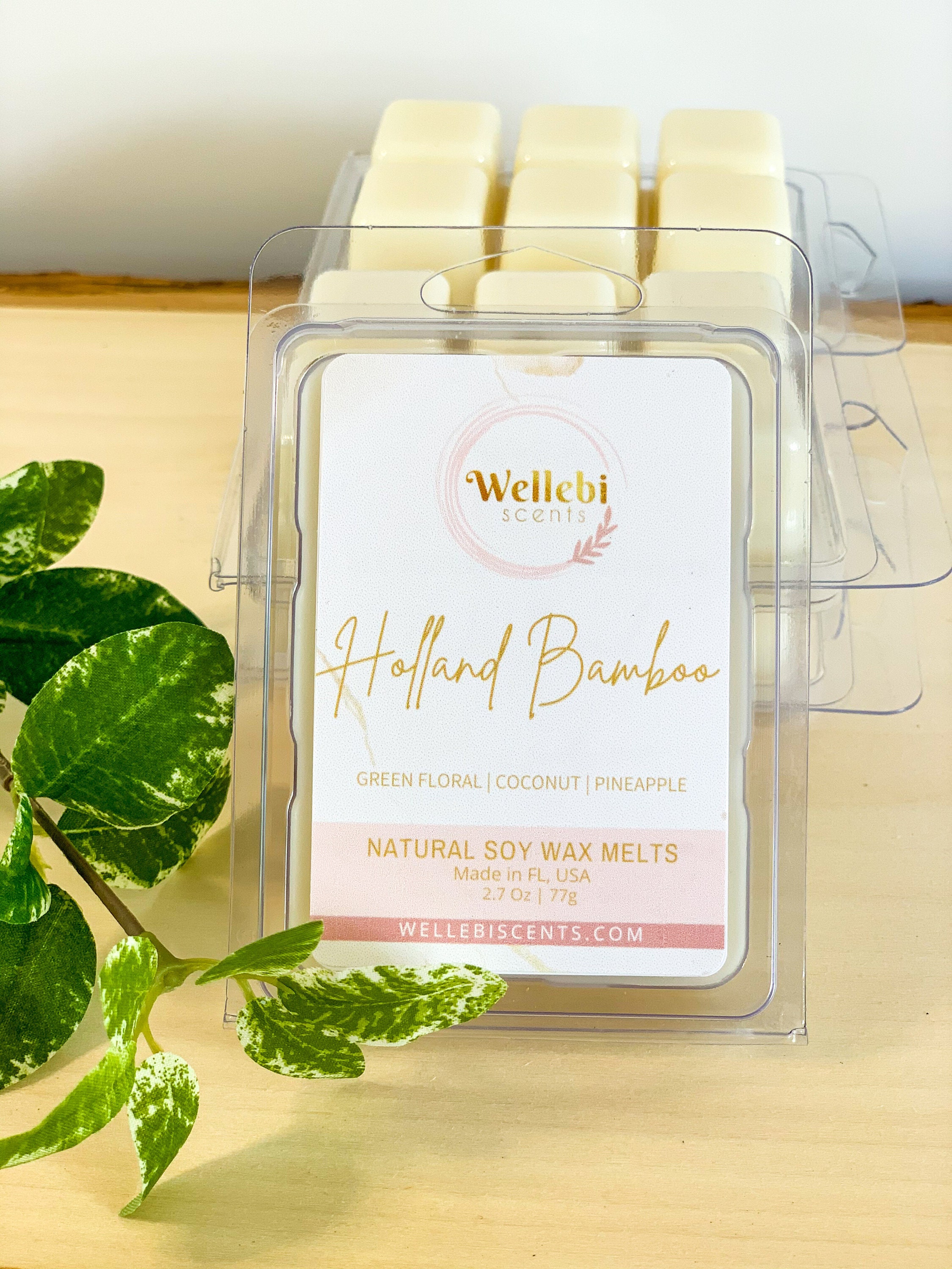 Holland Bamboo Wax Melts Coconut Pineapple Soy Melts Highly Scented Wax ...